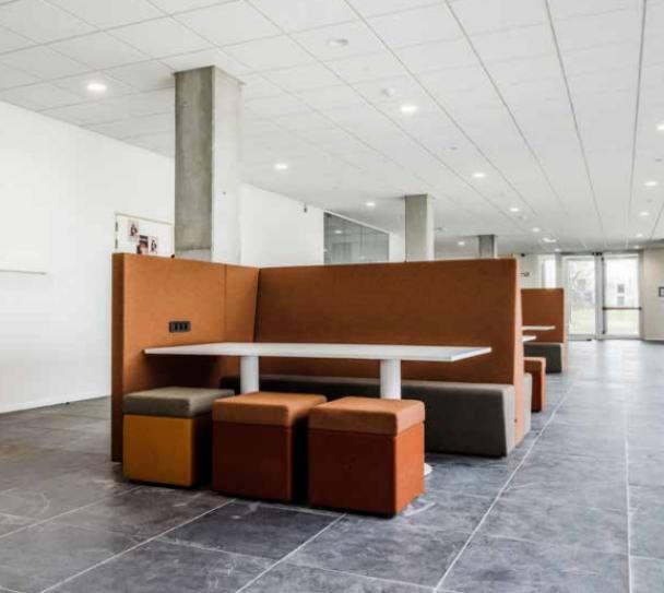 Tonga® E 20 (BE) | Eurocoustic